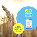 Whole food multivitamin with fermented wheat germ