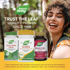 whole food multivitamin with GABA benefits