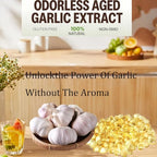 Whole food multivitamin with garlic extract
