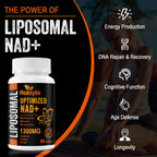 Whole food multivitamin with NAD+ support