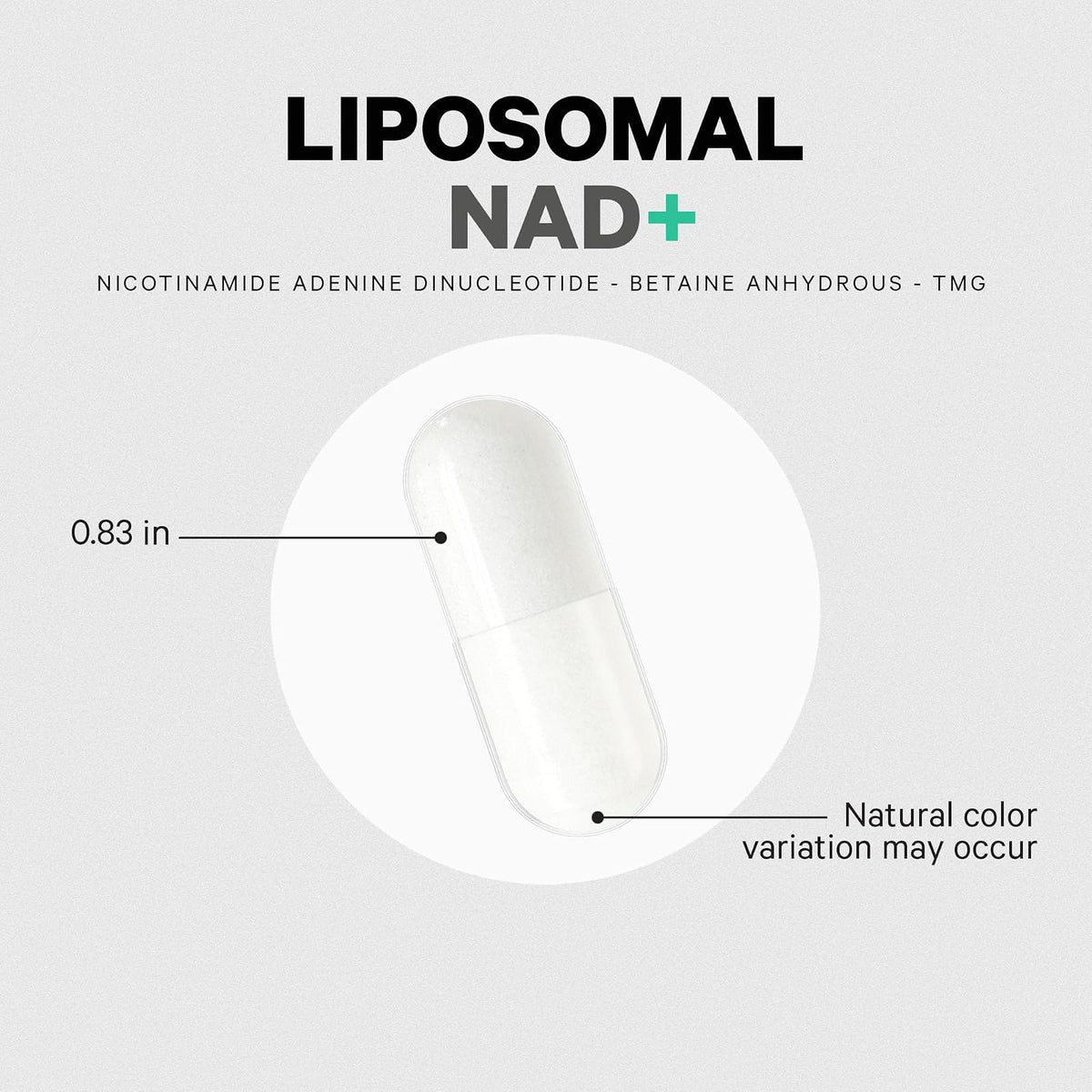 whole food multivitamin with NAD+