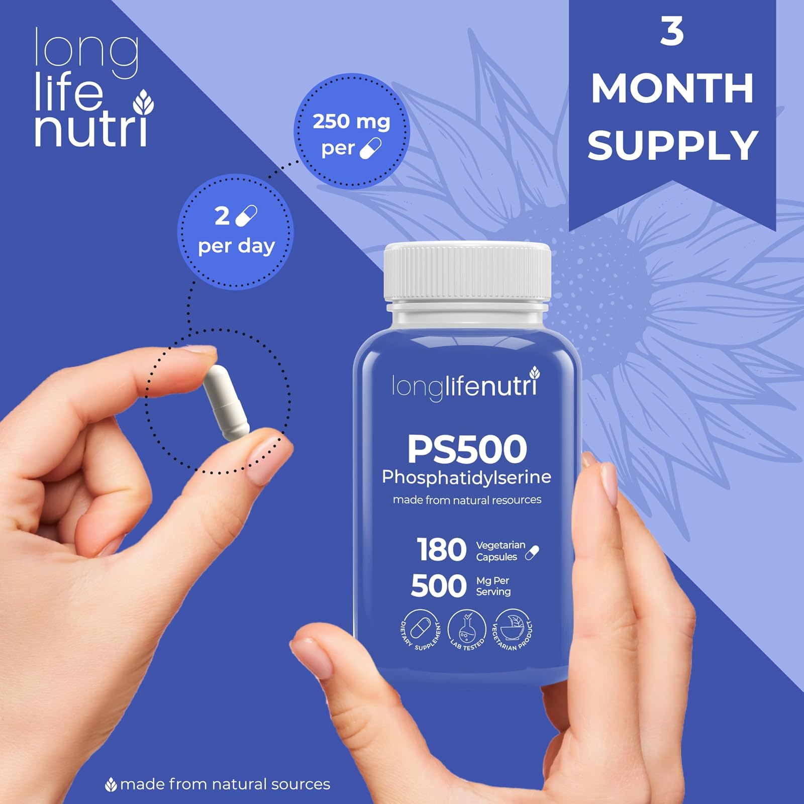 whole food multivitamin with Phosphatidylserine