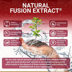 Whole food multivitamin with pomegranate