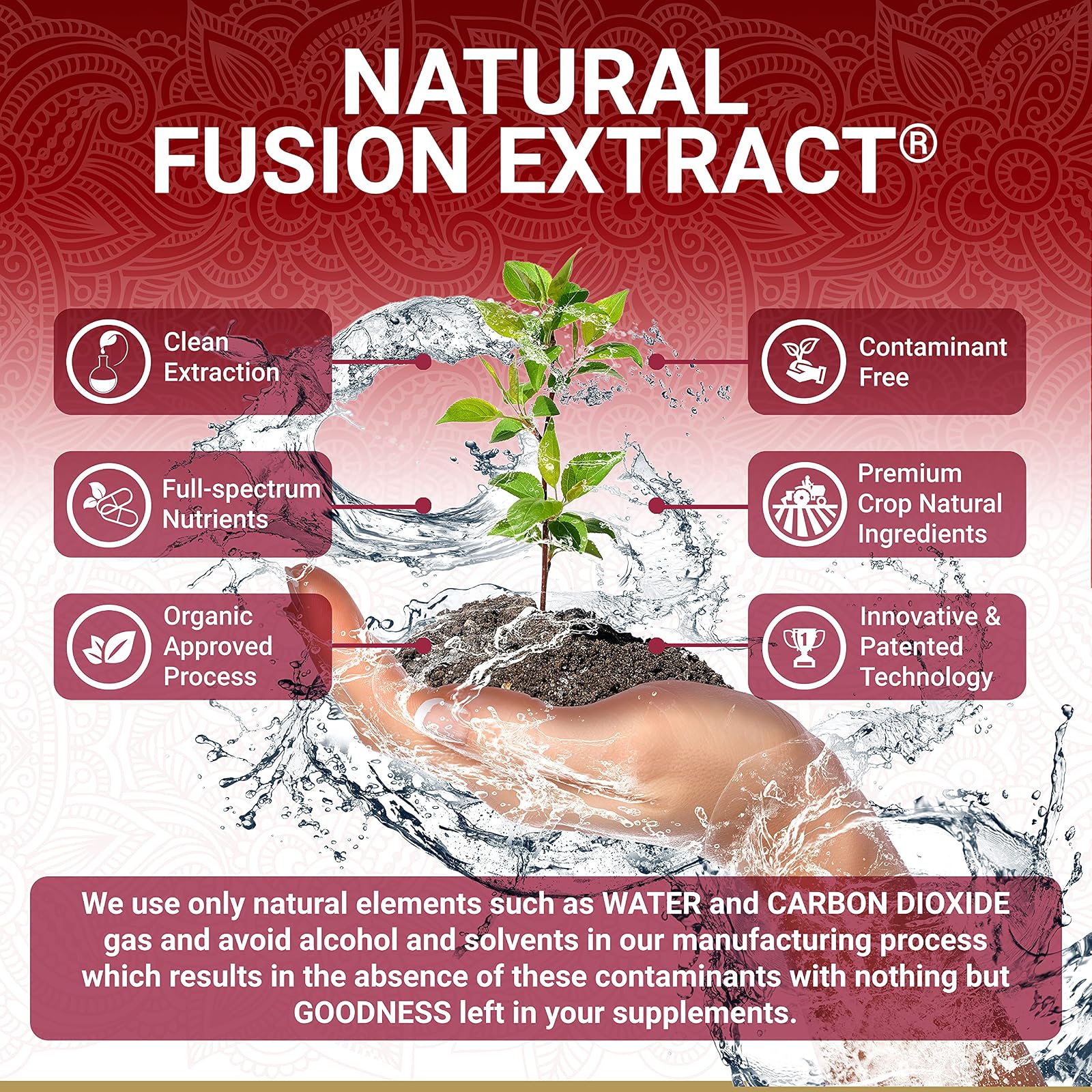 Whole food multivitamin with pomegranate