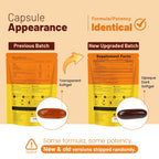 whole food multivitamin with pumpkin seed oil