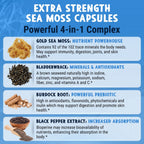 whole food multivitamin with sea moss