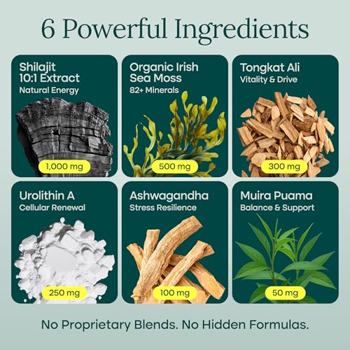 whole food multivitamin with Shilajit