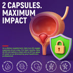 Whole food multivitamin with stinging nettle