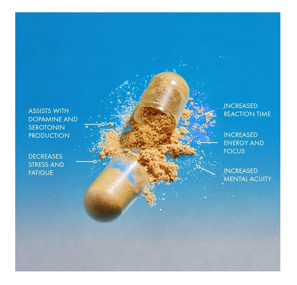 Whole food multivitamin with turmeric