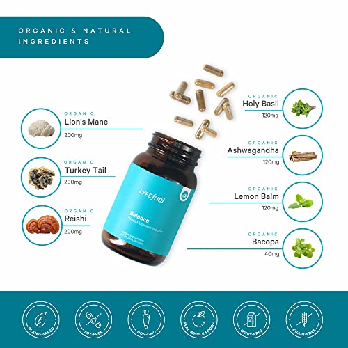 whole food mushroom capsules