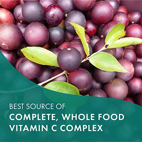 whole food vitamin C supplement