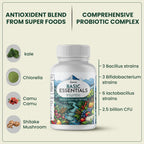 Whole food vitamins for immune support