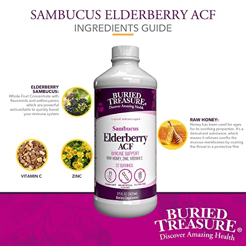 whole fruit elderberry concentrate benefits