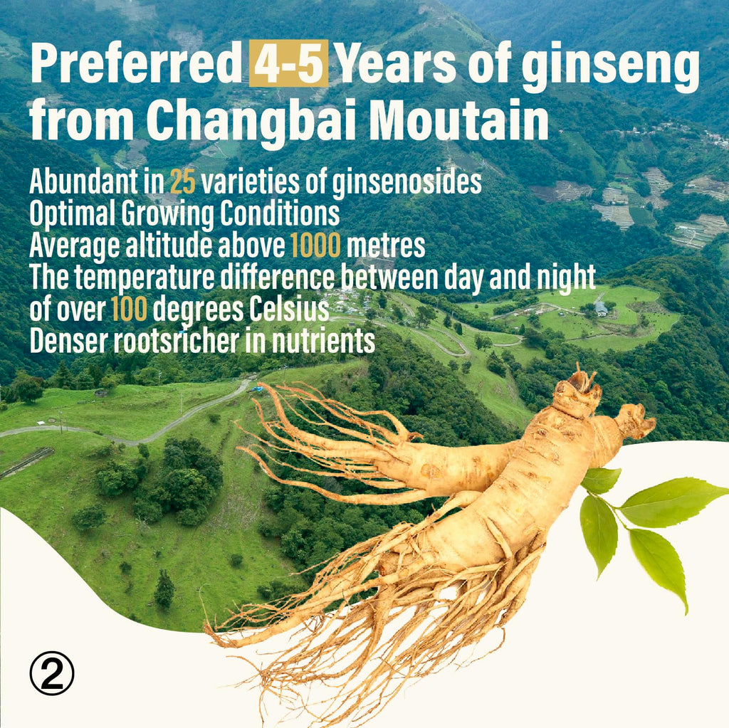 whole ginseng root benefits