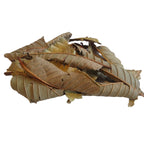 whole guava leaf tea benefits