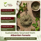 whole leaf blackberry herbal infusion