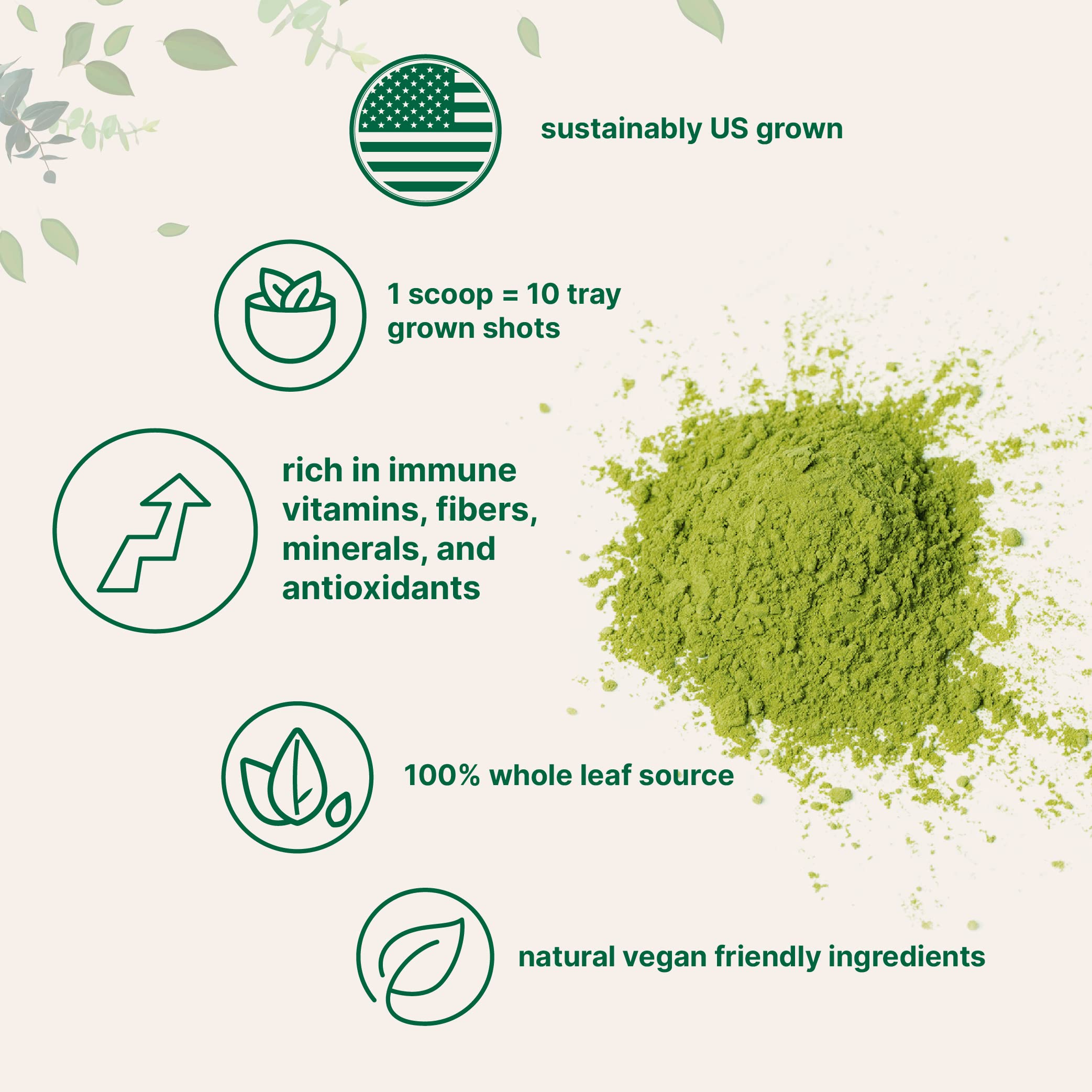 whole-leaf wheat grass nutrition