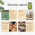 Whole Panax Notoginseng for wellness