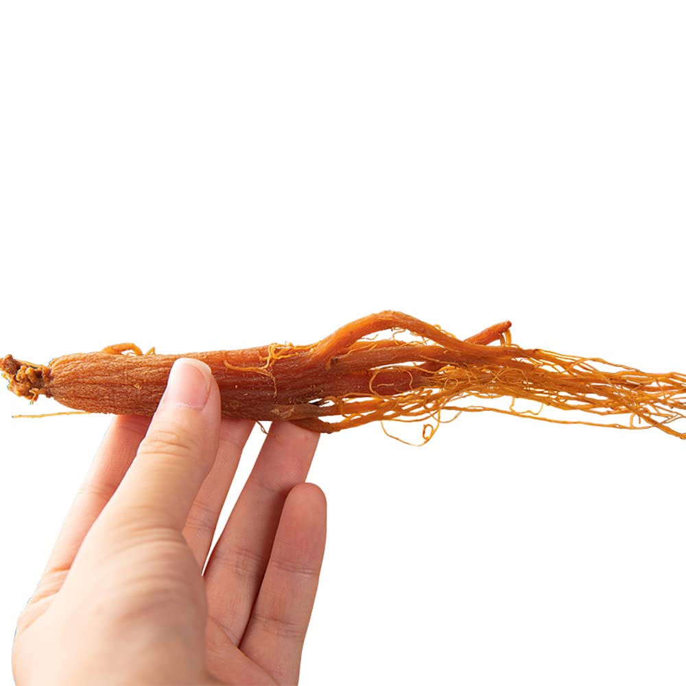 whole red ginseng for health support