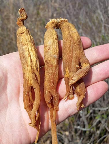 Whole roots ginseng for holistic health