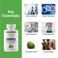 Whole spectrum multivitamins for daily health