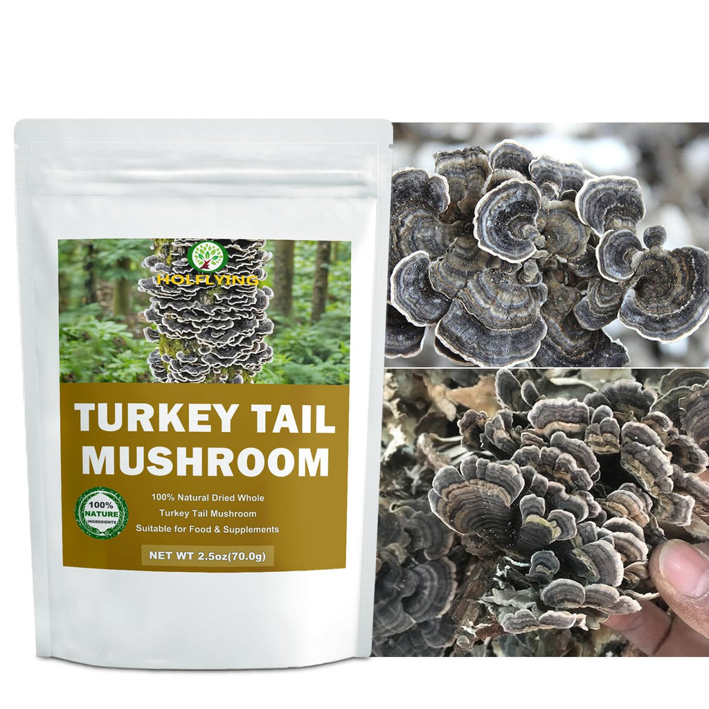 whole turkey tail mushrooms for immunity