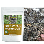 whole turkey tail mushrooms for immunity
