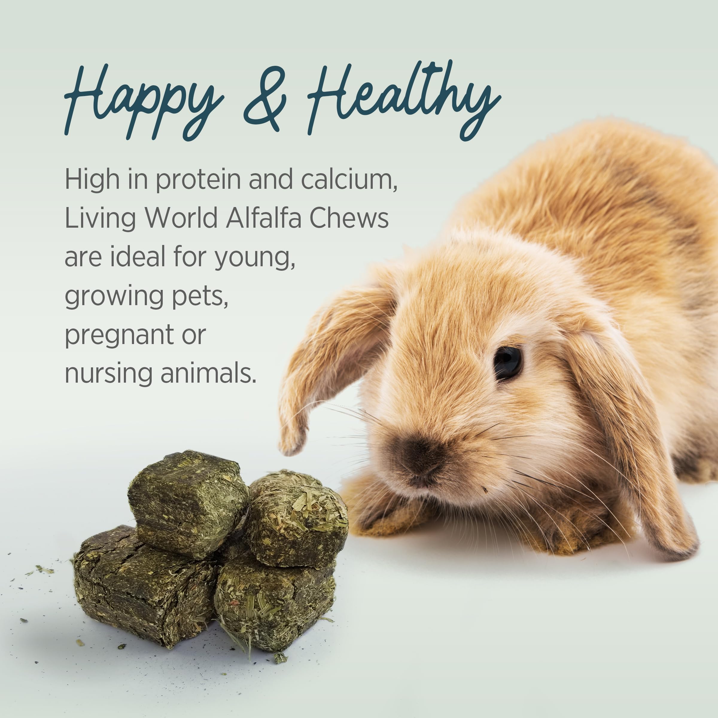 wholesome alfalfa chews for guinea pigs