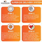 wholesome wellness liposomal vitamin c