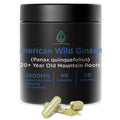 wild American ginseng health benefits