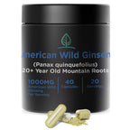 wild American ginseng health benefits