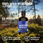 wild bilberry extract for vision