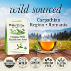 Wild Bliss dandelion tea benefits