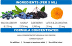 Wild blueberry antioxidant benefits