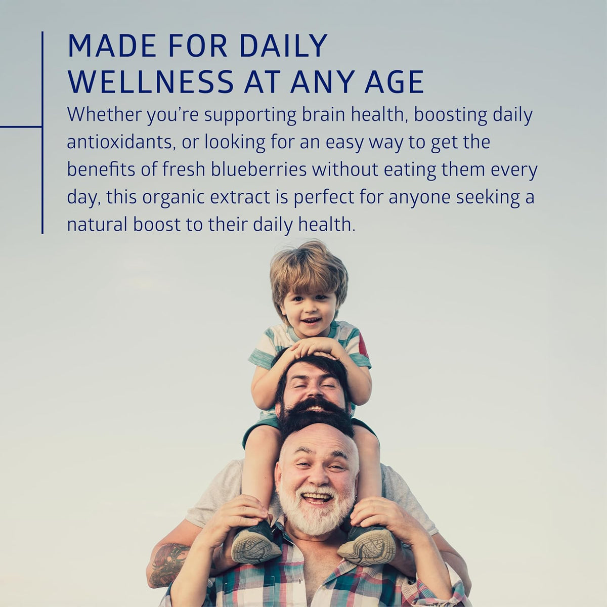wild blueberry extract for healthy digestion