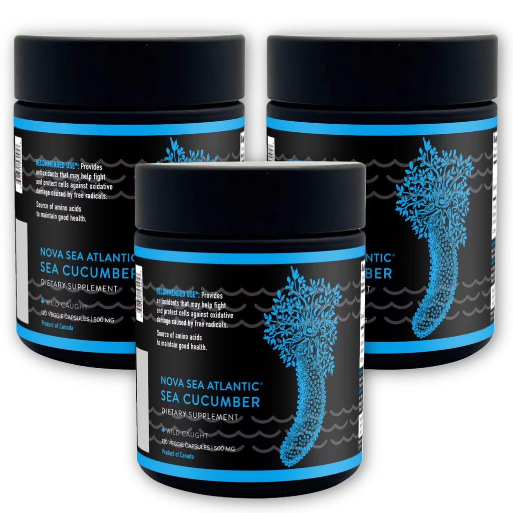 wild caught sea cucumber capsules