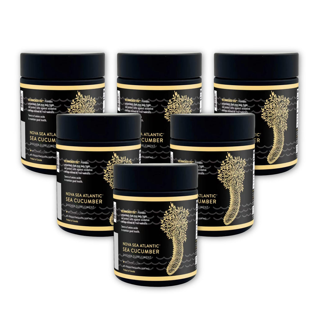 wild caught sea cucumber capsules