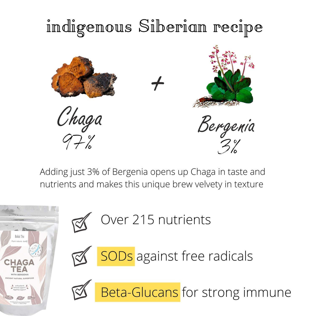 wild chaga mushroom infusion