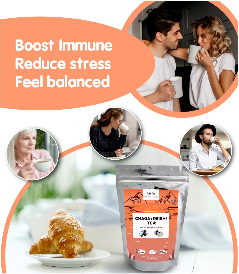 wild chaga mushrooms for energy