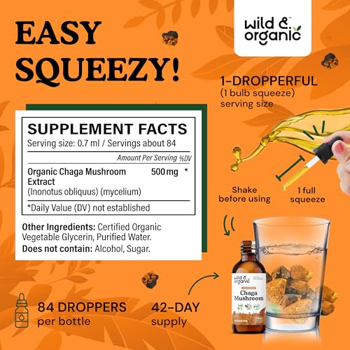 wild chaga mushrooms for natural health