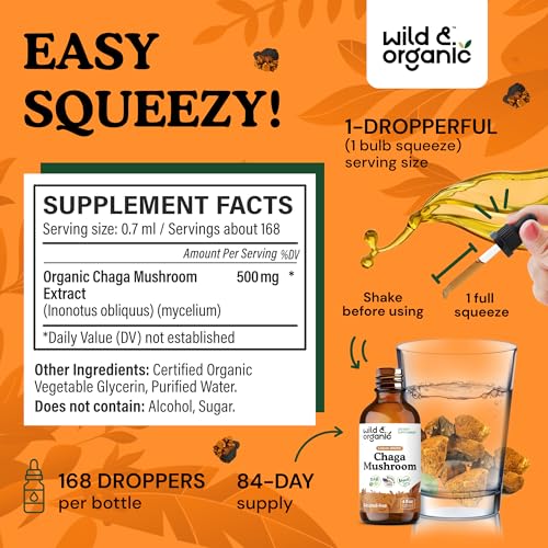 wild chaga mushrooms for overall wellness