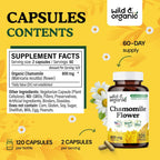 wild chamomile herbal infusion