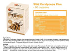 Wild Cordyceps Plus stress relief