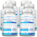 wild-crafted Irish sea moss capsules