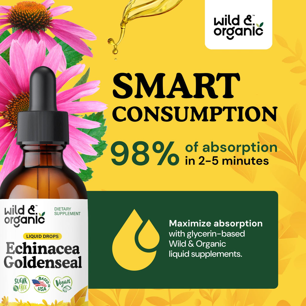 wild echinacea drops for everyday health