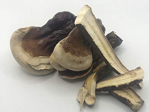 wild foraged mushrooms from Michigan