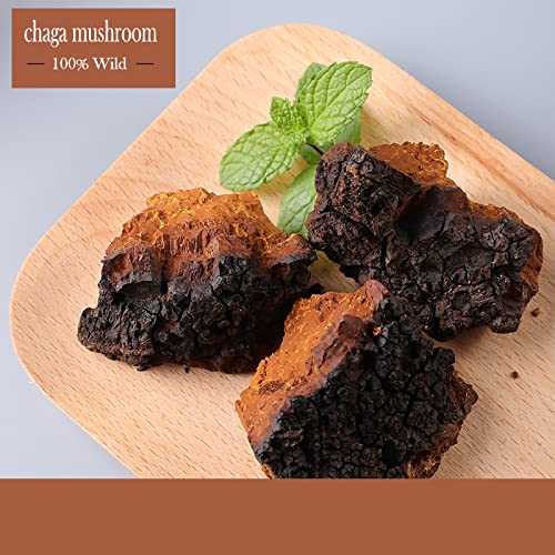 wild forest harvested chaga mushrooms