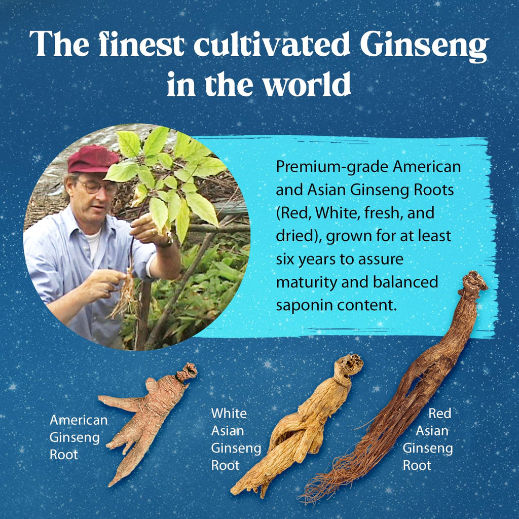 wild ginseng extract for natural energy