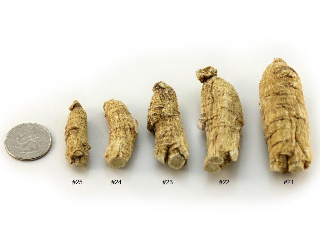 wild ginseng for enhanced health