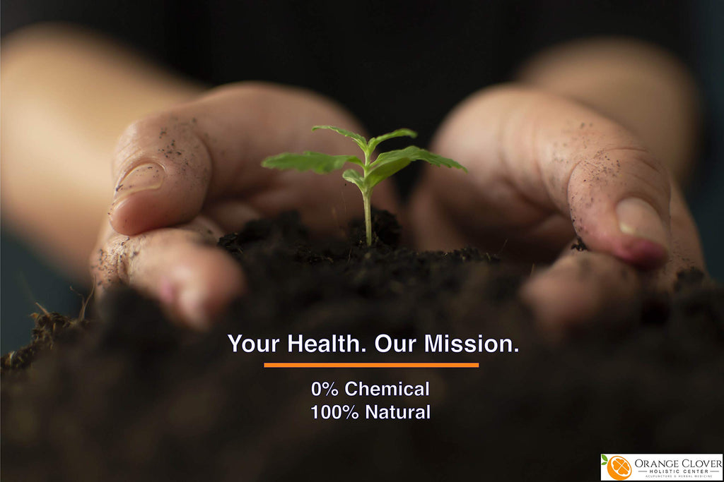 wild ginseng for enhanced vitality